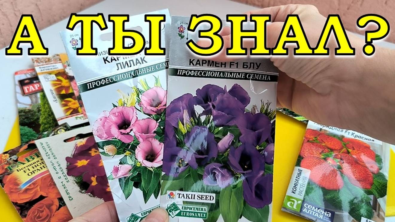 Любимая ДАЧА🌺🐝🌻🐞🌼