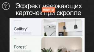 How-to: видеоинструкции по эффектам на Тильде