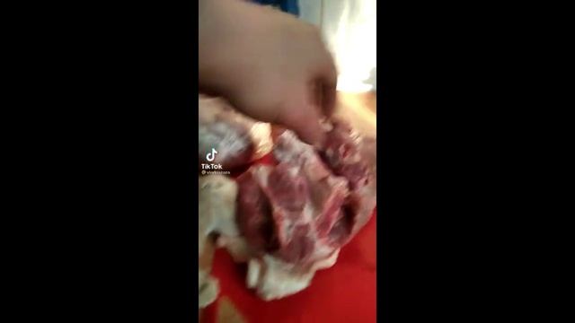 Все видео из ТикТока на Первом Блогерском Канале ″Красавчик ТВ″