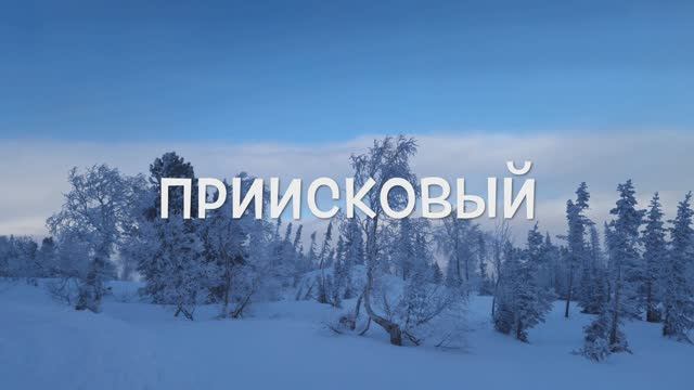 Приисковое