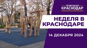 Неделя в Краснодаре