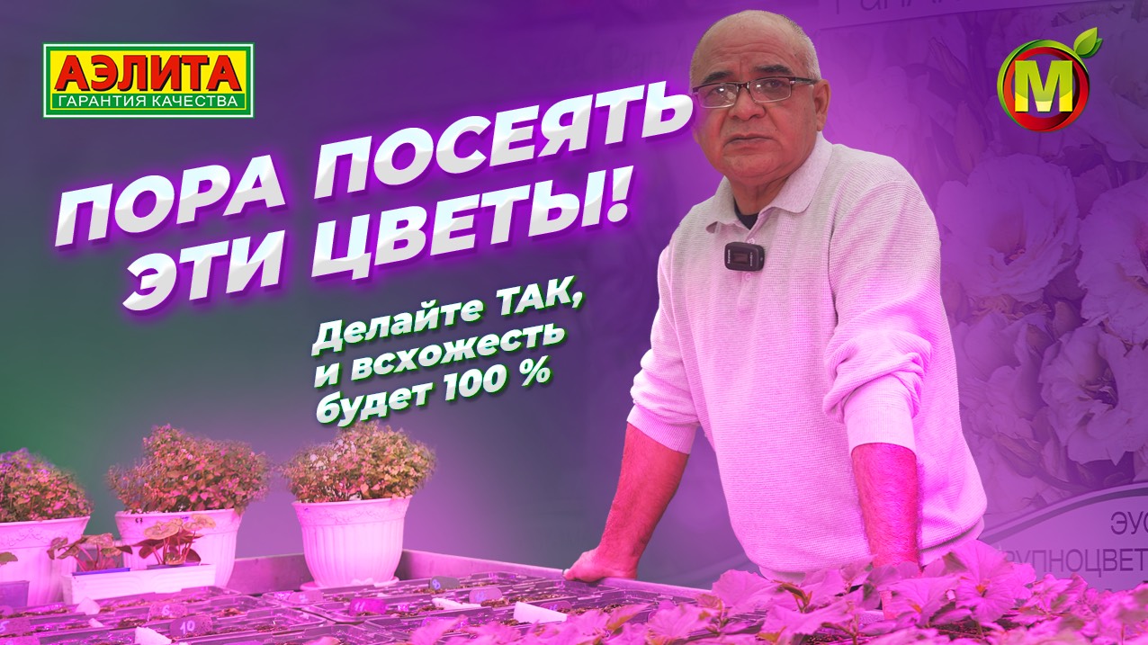 Цветы