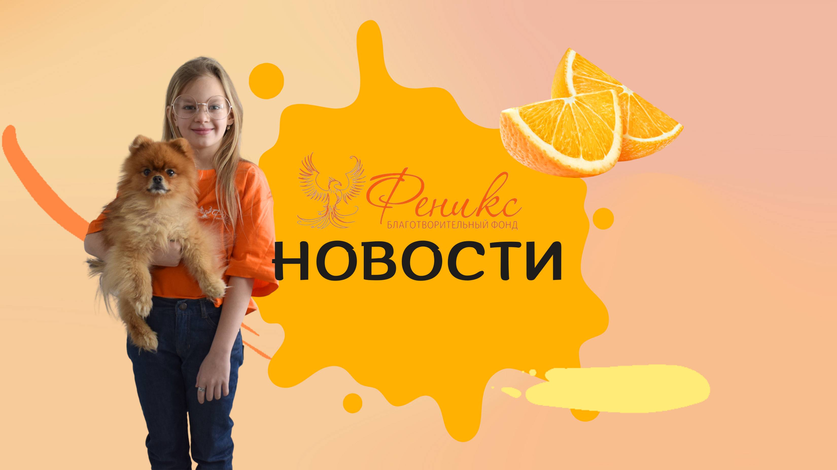 Новости Феникса