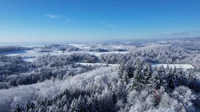 Галактический Ковчег