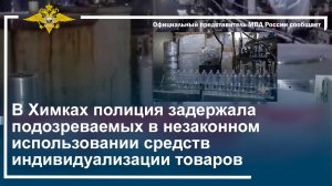 Официальный представитель МВД России Ирина Волк