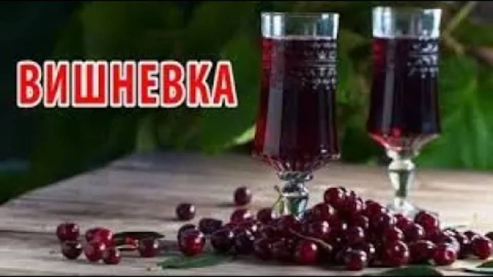 Поиск земельного участка