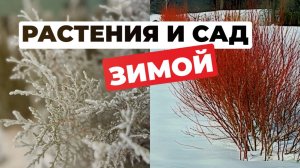 Ландшафтный дизайн и благоустройство. Советы экспертов