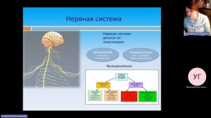 Психолого-педагогический класс 2025