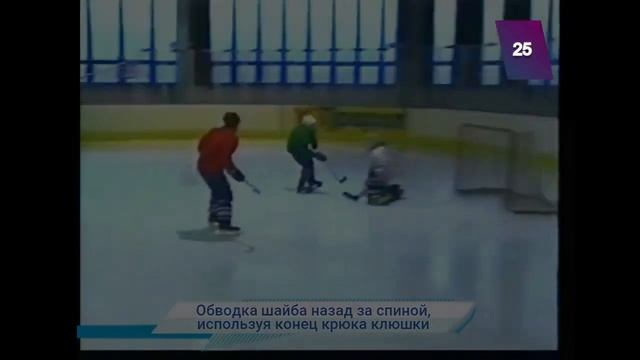 Обводки в хоккее