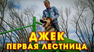 Зарисовки