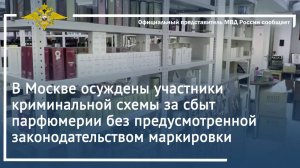 Официальный представитель МВД России Ирина Волк