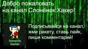 Записи прямых эфиров на канале Слонёнок Хакер