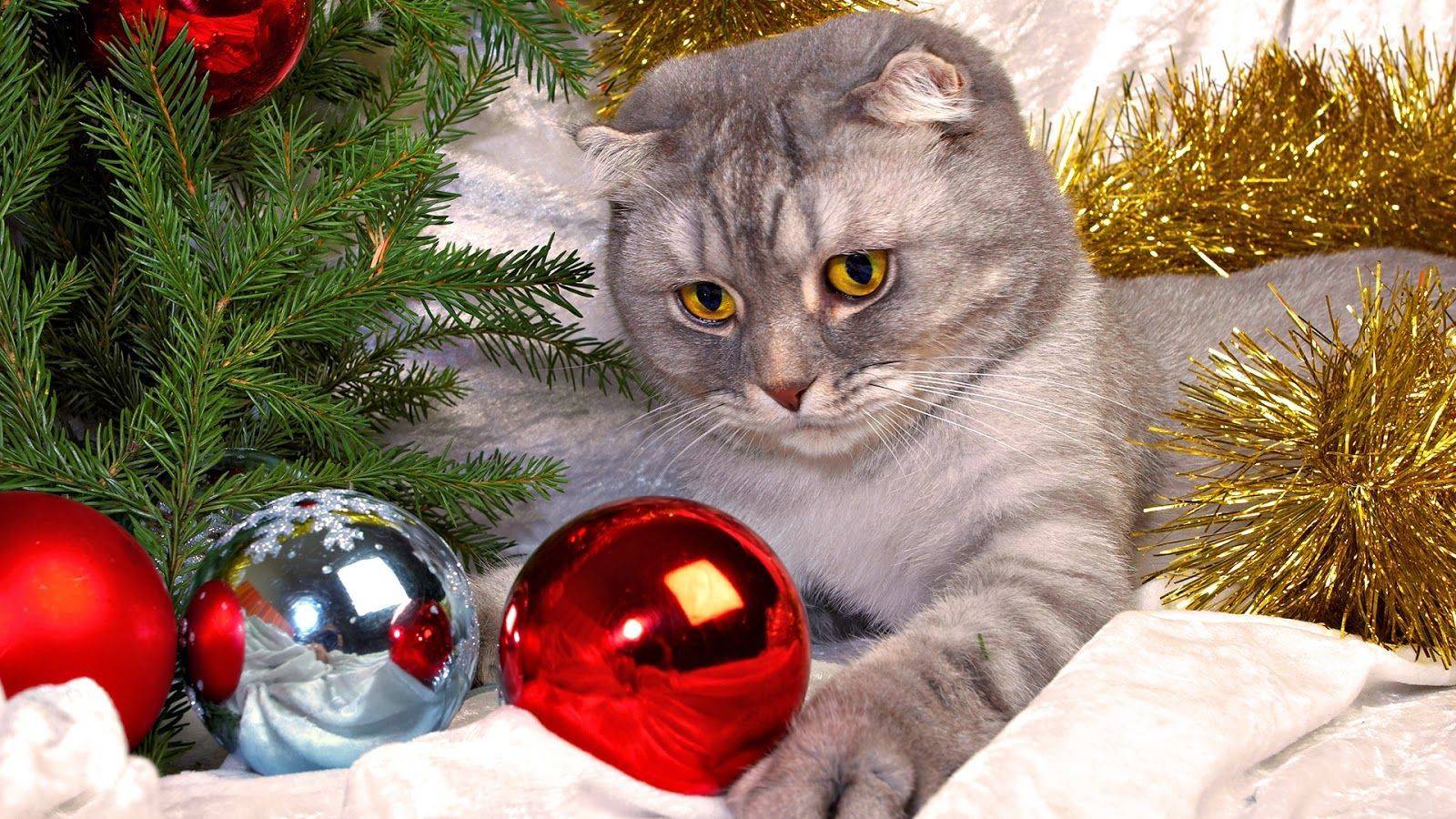 С Новым Годом!
