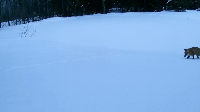 Обзорные видео, помогающие организовать жизнь на земле и улучшить среду обитания.