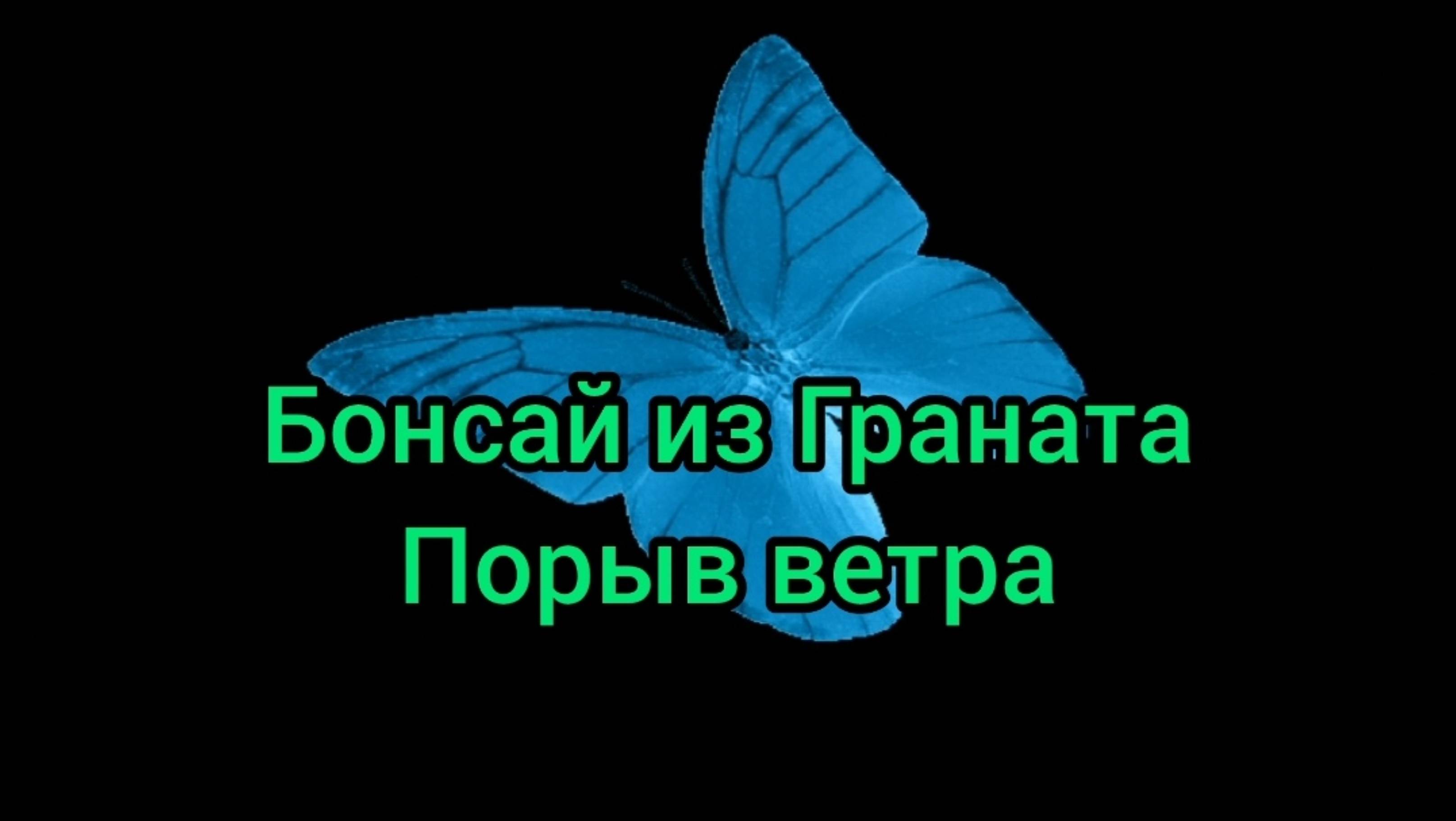 Бонсай стиль порыв ветра!, согнутый ветром, фукинагаши.