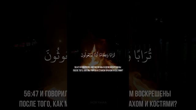 Чтение Корана разных чтецов/Best Quran Recitation