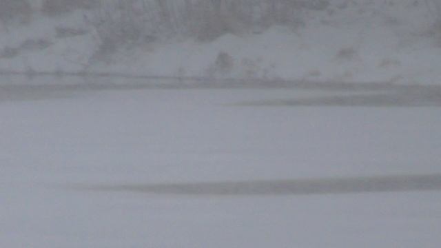 Погода в Великом Новгороде