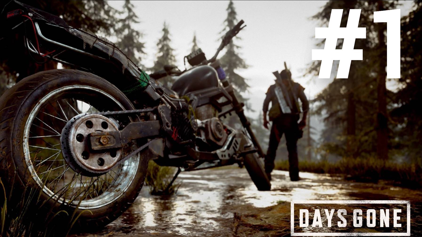 Days Gone