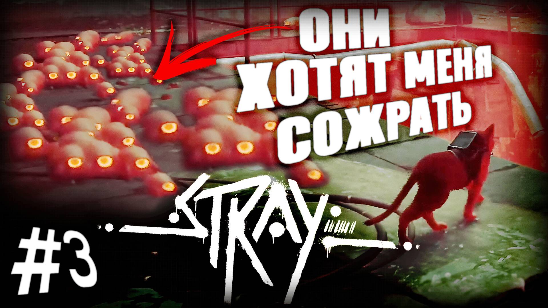 Stray - Прохождение