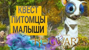 Hogwarts Legacy Прохождение на Русском - ГАЙДЫ и МОДЫ