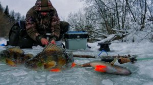 РЫБАЛКА НА БЕЗМОТЫЛКУ