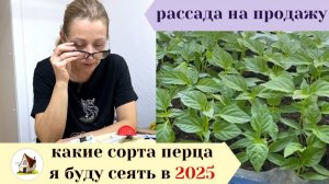 Рассада на продажу