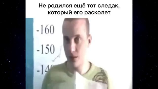 Приколы с животными