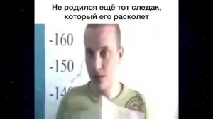 Приколы с животными