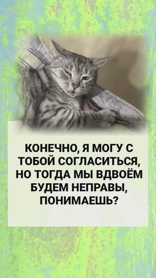 Короткие видео