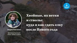 Новости Петербурга