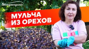 Ученицы Strogoorganic делятся секретами садоводства