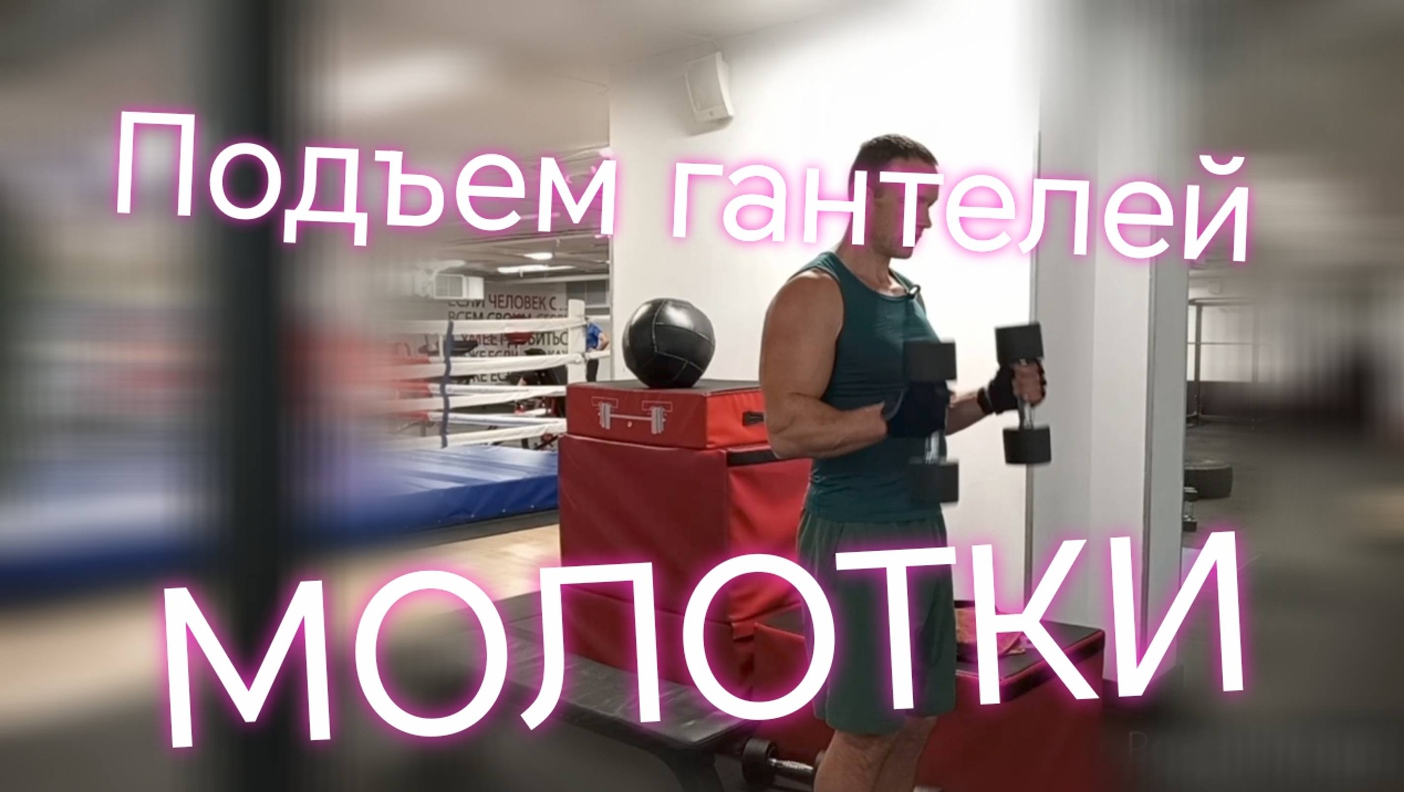 Спорт