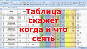 Работы в теплице, саду и огороде