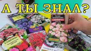 Любимая ДАЧА🌺🐝🌻🐞🌼