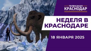 Неделя в Краснодаре