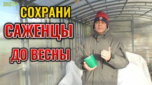 САДОВОЕ ЦВЕТОВОДСТВО