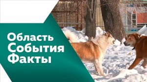 ОБЛАСТЬ.СОБЫТИЯ.ФАКТЫ