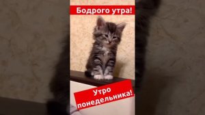 Короткие видео