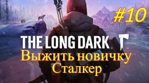 The Long Dark - Выжить новичку (Сталкер)