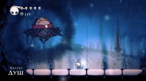 Hollow Knight