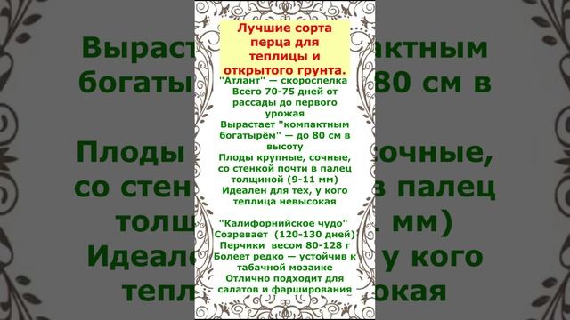 Сад,огород, Прикормки для рассады Помидор Перца и других овощей.