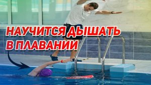 Обучение плаванию взрослых