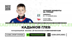 Игроки TrackHockey