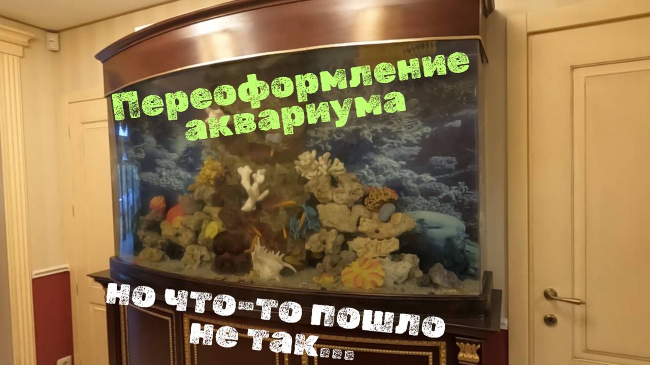 Пресноводные аквариумы