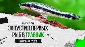 Акваблог 2024