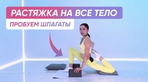 РАСТЯЖКА / STRETCHING