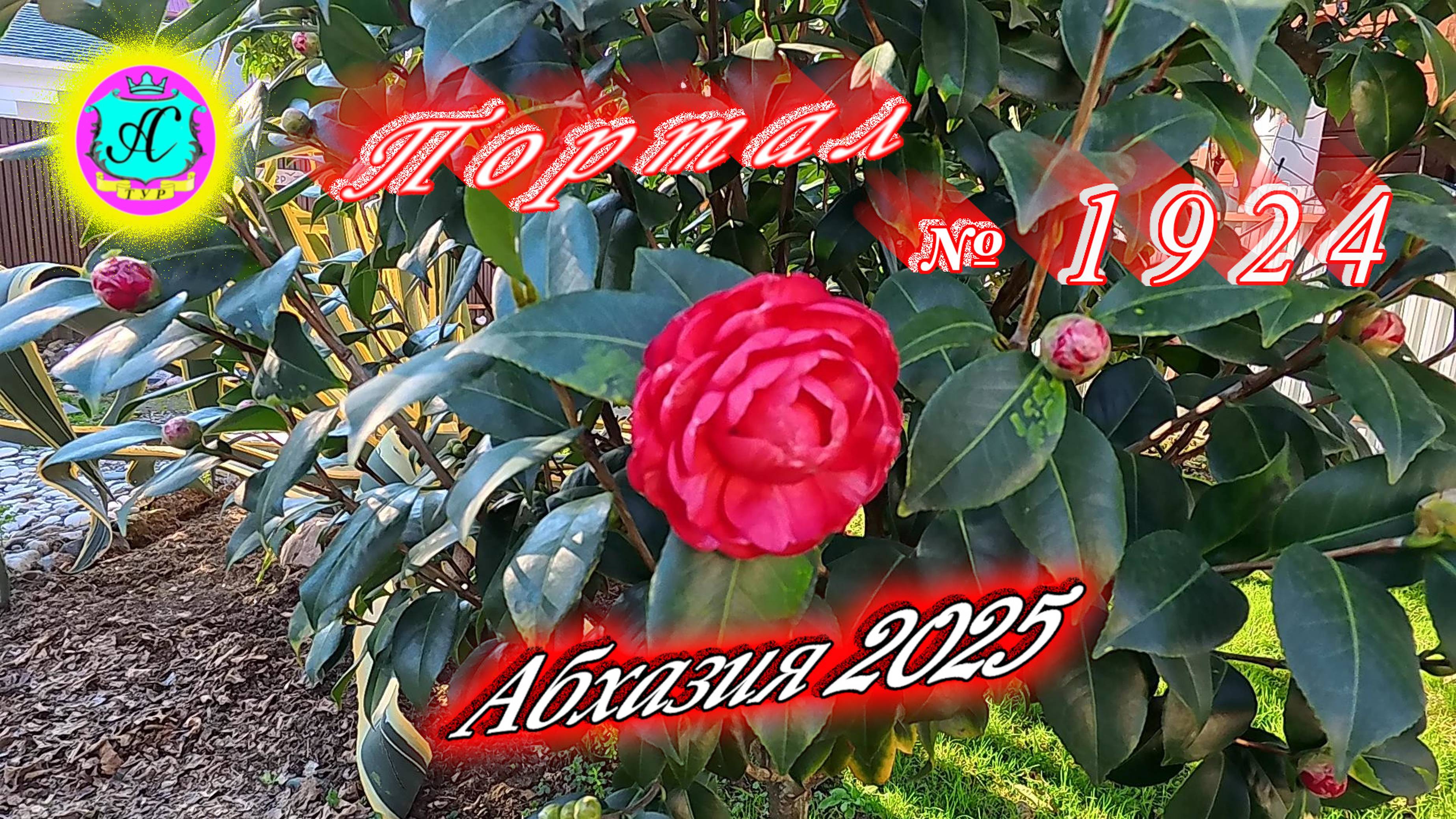 #Абхазия2025 🌴 Январь, погода и новости.