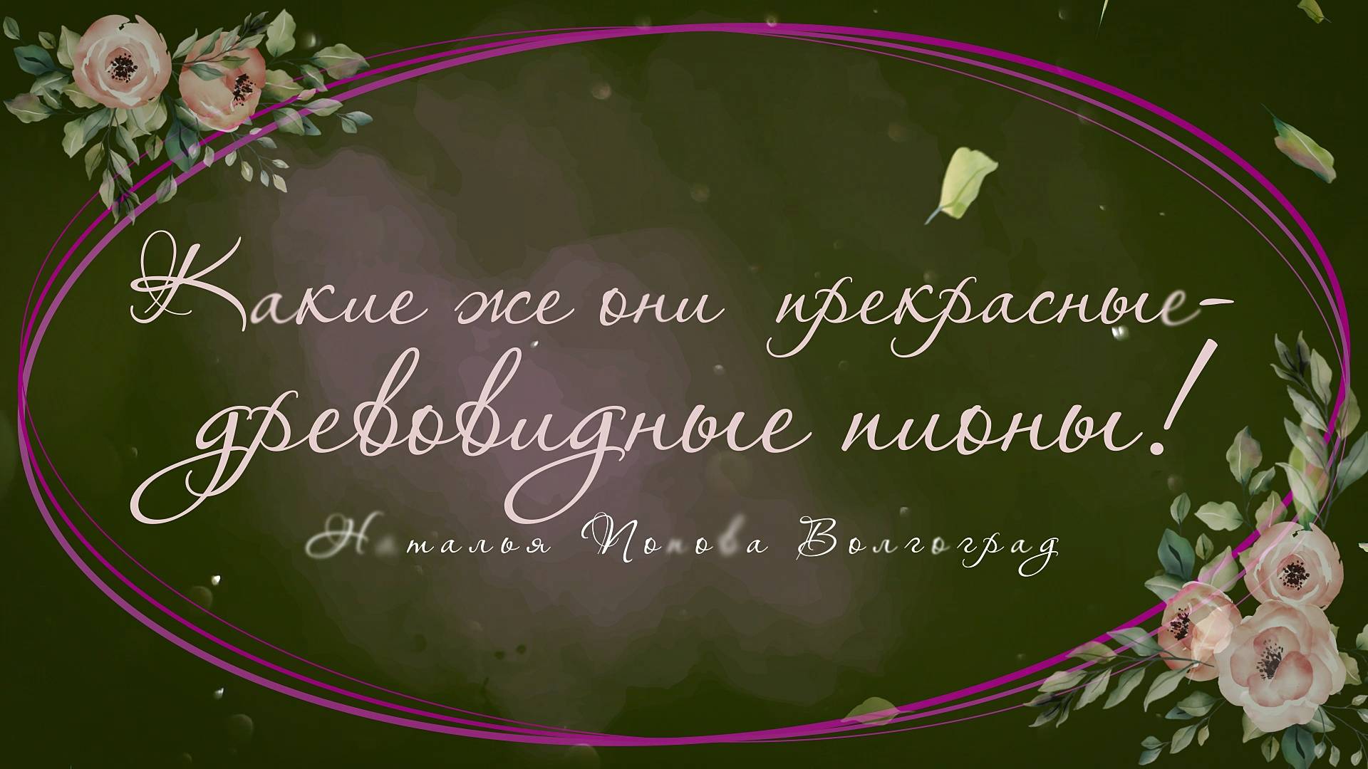 Клематисы и другие цветы