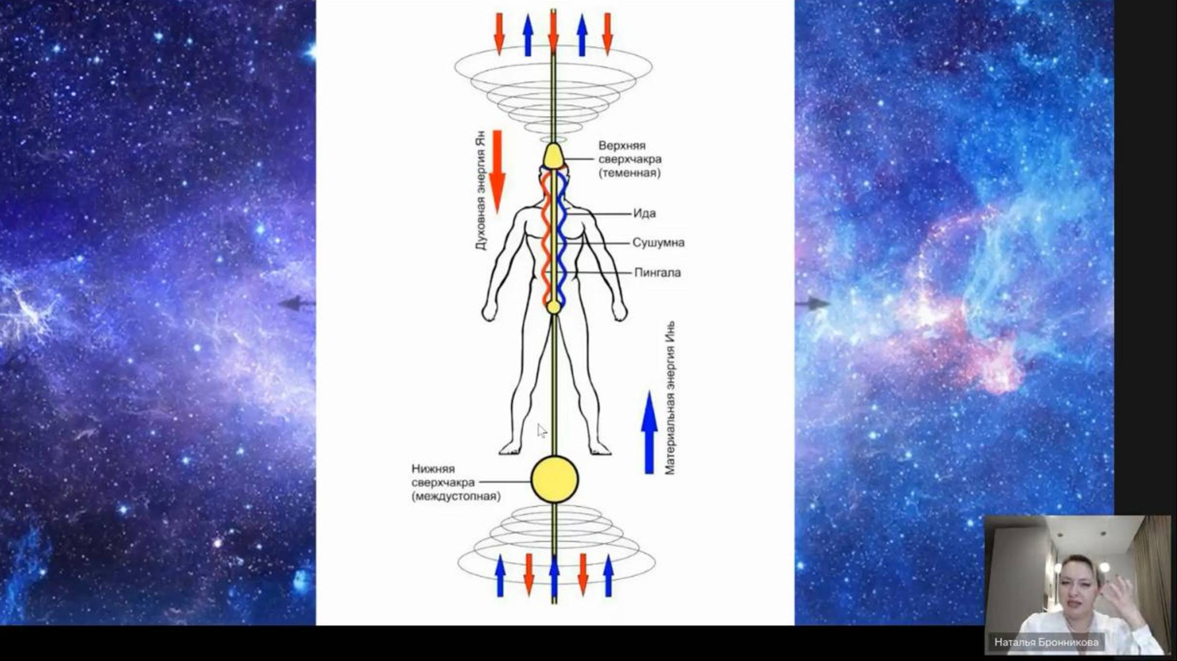 Клубные встречи