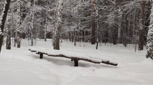 Челябинск. Городские улицы, исторические здания, парки скверы, памятники...